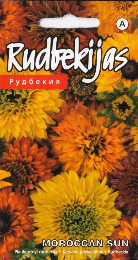 Rudbekijas Moroccan Sun